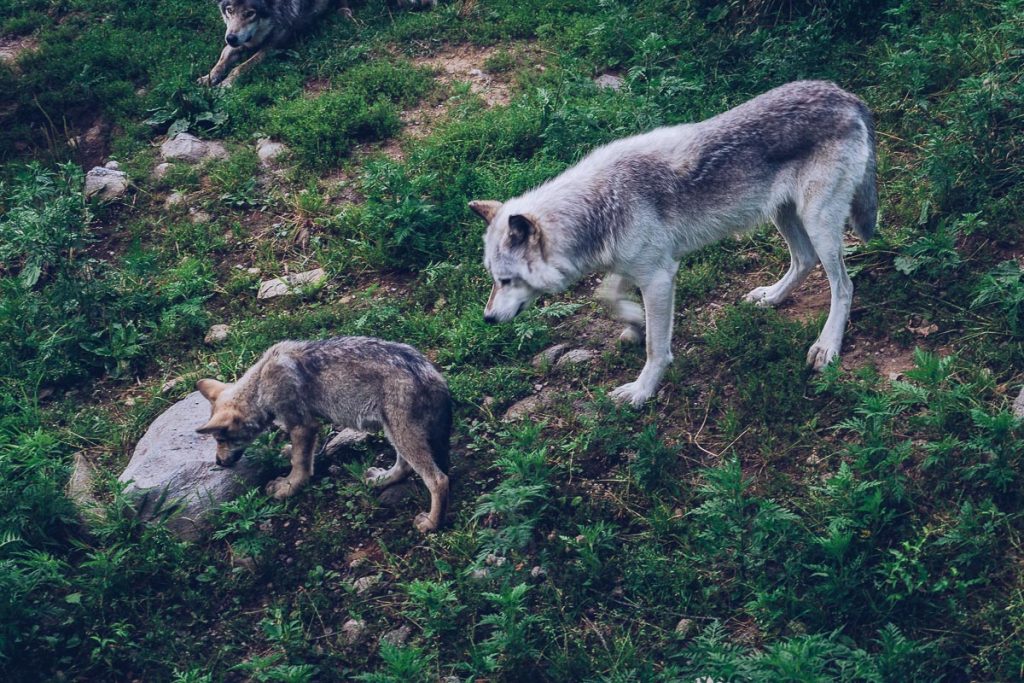 Découvrir l'Outaouais lors d'un week-end nature & aventures | Refuse to ...