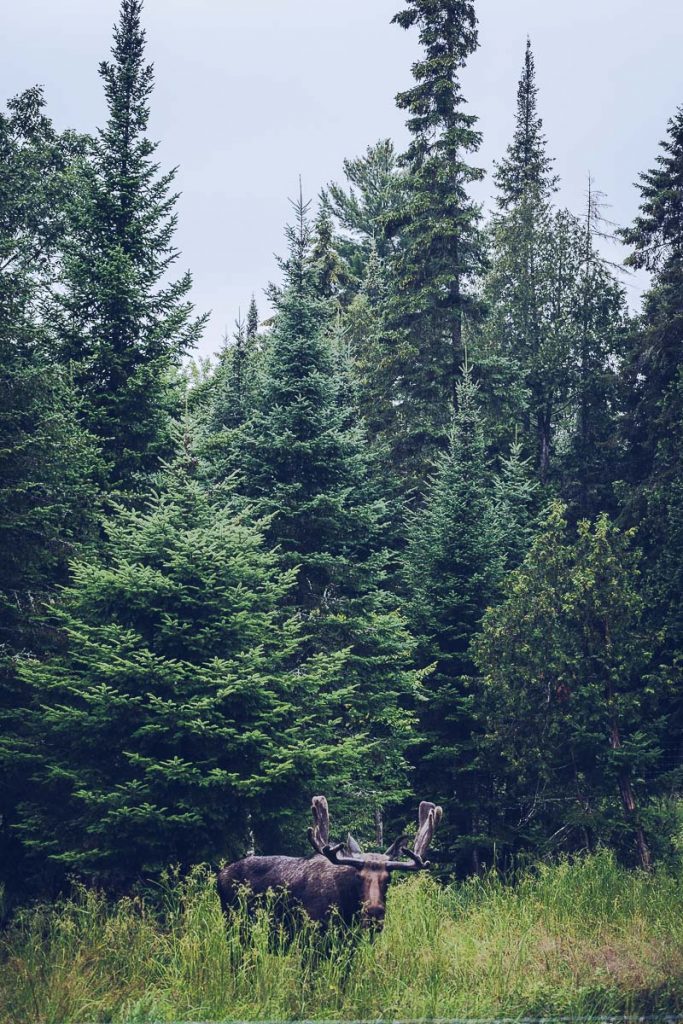 Découvrir l'Outaouais lors d'un week-end nature & aventures | Refuse to ...