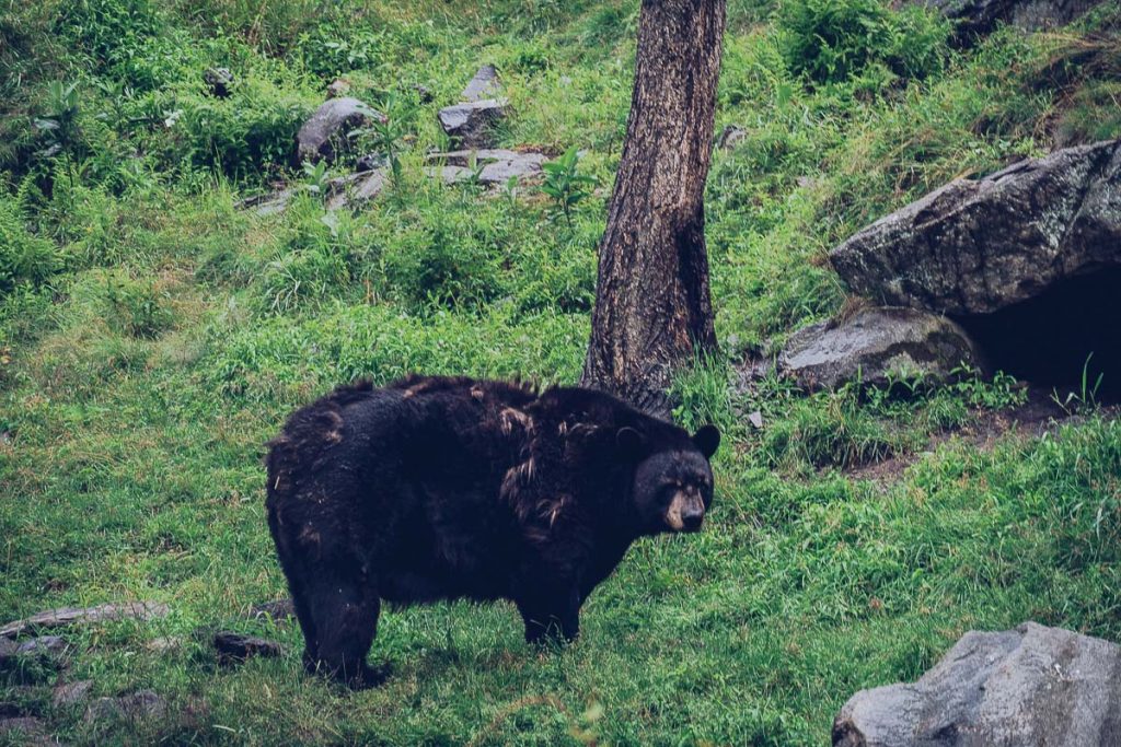 Découvrir l'Outaouais lors d'un week-end nature & aventures | Refuse to ...