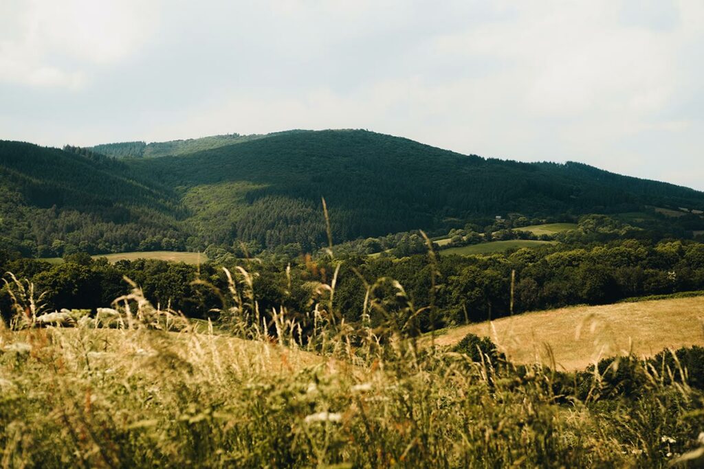 Visiter le Grand Site de France : Bibracte - Morvan des Sommets ...